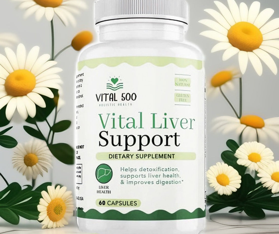 Premium Supplements | Vital 500 Holistic Health